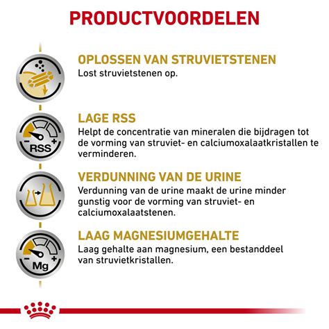 Urinary S/O | Royal Canin NL