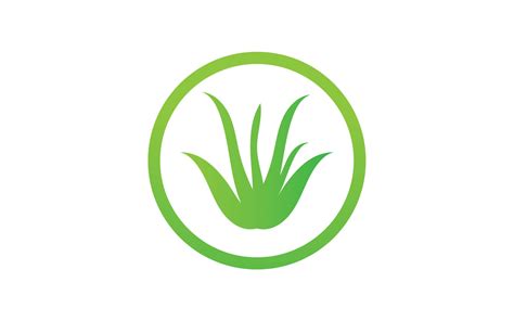 Aloe Vera Logo And Symbol Graphic By Dedeparsiadin · Creative Fabrica