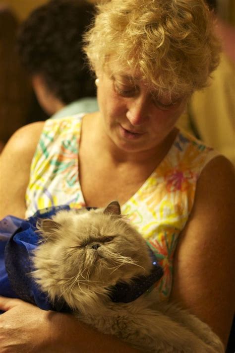 The Hottest Looks From The Runway Of A Cat Fashion Show Cat Fashion