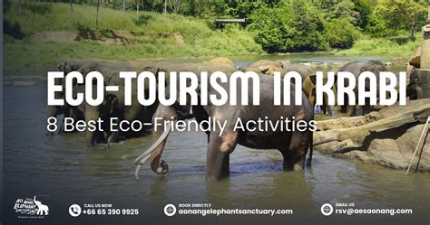 Eco Tourism In Krabi 8 Best Eco Friendly Activities Aonang Elephant