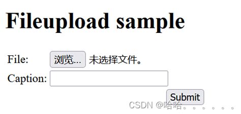 热门框架漏洞 struts2 struts2漏洞 csdn博客