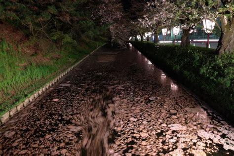 弘前公園の桜日本の桜名所100選で堀を埋め尽くす花筏が見事 ピクスポット 絶景風景写真撮影スポット撮影ガイドカメラの使い方