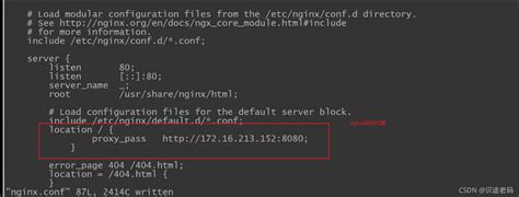 Nginx常用vscode Nginx插件 Csdn博客