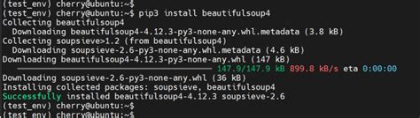 How To Install Pip On Ubuntu 2404 Step By Step Guide Cherry Servers