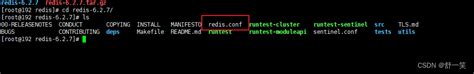 Redis的版本选择与linux下的安装（全网最细保姆级别教学） 阿里云开发者社区