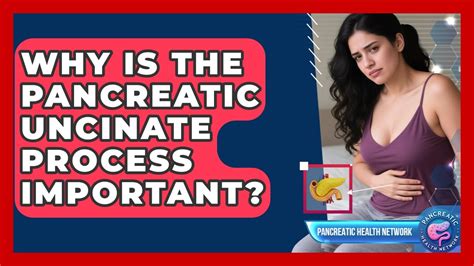 Why Is The Pancreatic Uncinate Process Important Pancreatic Health
