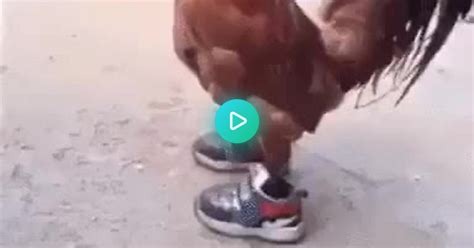 Never Not Funny Album On Imgur