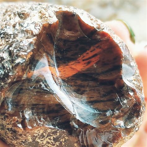 300g Mahogany Obsidian Nodule Uncut Old Collection Etsy
