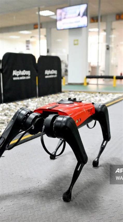 Perros Robot La Policía De Nueva York Ya No Usará Esta Tecnología La