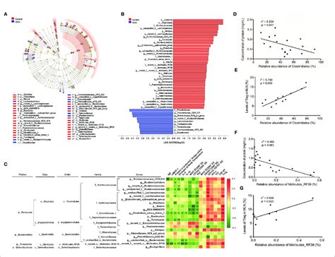 Identification Of Intestinal Microbiota Accounting For Allergy And