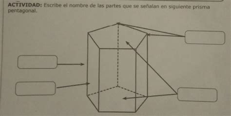 Actividad Escribe El Nombre De Las Partes Que Se Señalan En Siguiente Prisma Pentagonalayuda