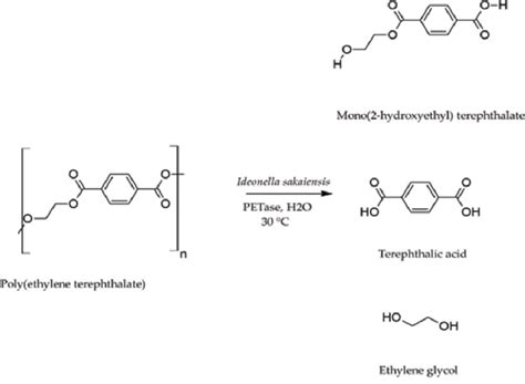 Microbial Depolymerization Of Polyethylene Terephthalate Download Scientific Diagram