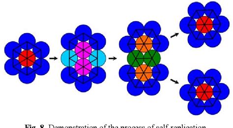 Figure 1 From Simulation Of Bio Like Systems And Processes Using Movable Cellular Automata