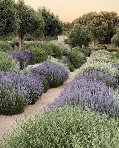 Jardines Mediterráneos Transforma Tu Espacio Exterior En Un Paraíso