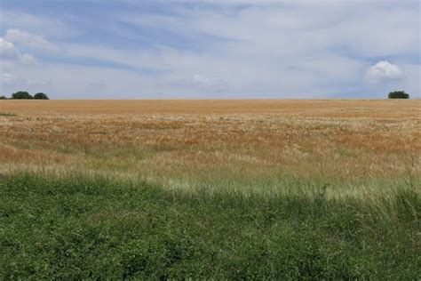 От 21 август земеделските стопани могат да кандидатстват по помощта за напояване Agriculture Bg