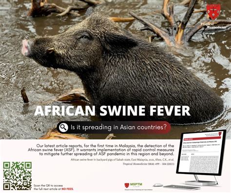 Choon Kiat Khoo Phd On Linkedin Asf Malaysia Wildboar