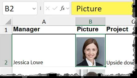 Insert Image In Excel Cell And Lookup Images Xelplus Leila Gharani