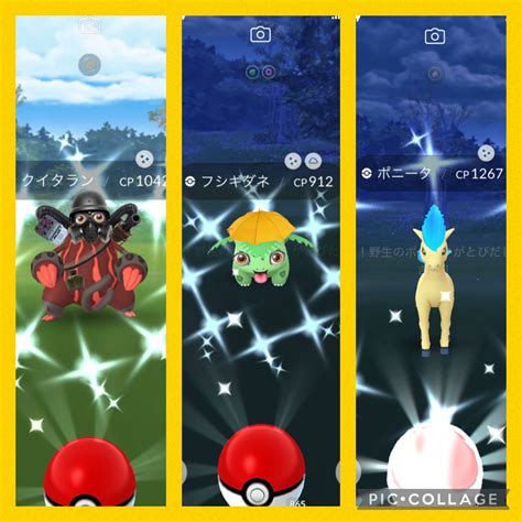 【ポケモンgo】クイタランの色違い、 入手方法と実装状況 攻略大百科