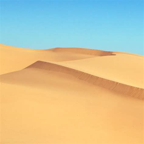 何友文n的模拟炒股主页—同花顺模拟炒股