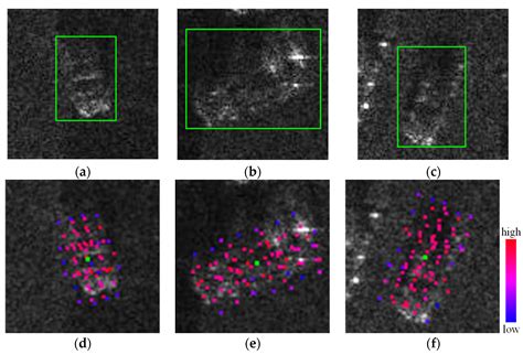 Vehicle Target Detection Network In Sar Images Based On Rectangle Invariant Rotatable Convolution