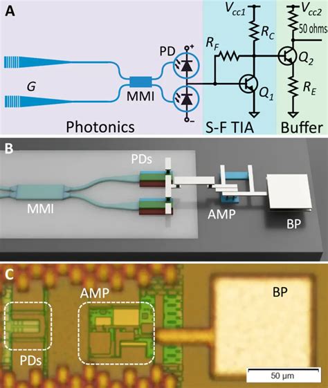 Worlds Smallest Quantum Light Sensor On A Silicon Chip