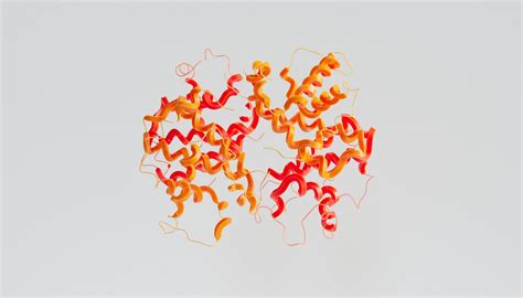 What Does Alphafold Do Harnessing The Power Of Ai To Understand How Proteins Fold Tds Archive