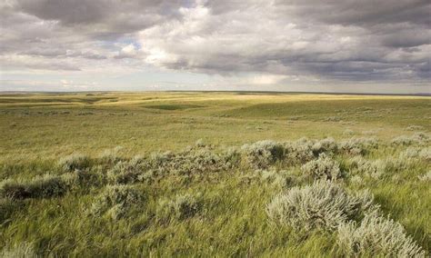 The Great Plains Places Wwf