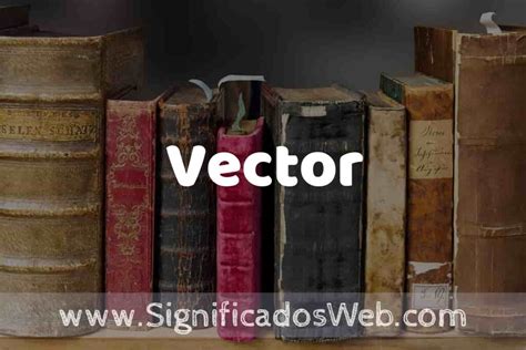 Definición De Vector Que Es 5 Ejemplos Tipos Y Para Que Sirve