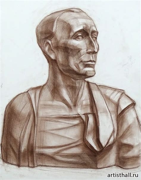 Рисунок Никколо мягким материалом Анатомическое искусство Рисунки