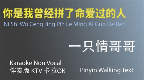 你是我曾经拼了命爱过的人 Ni Shi Wo Ceng Jing Pin Le Ming Ai Guo De Ren Karaoke