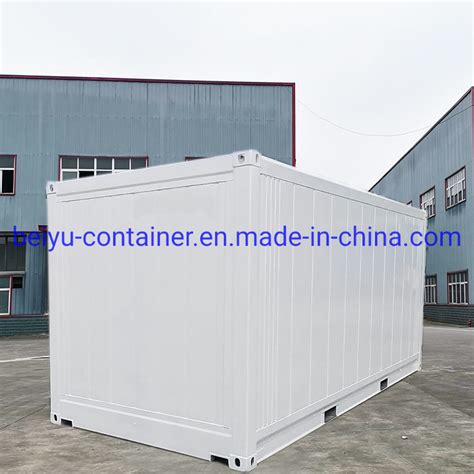 20ft Reefer Shipping Container Ral9010 Csc Certificate Iso Dimension Iso Reefer Container And