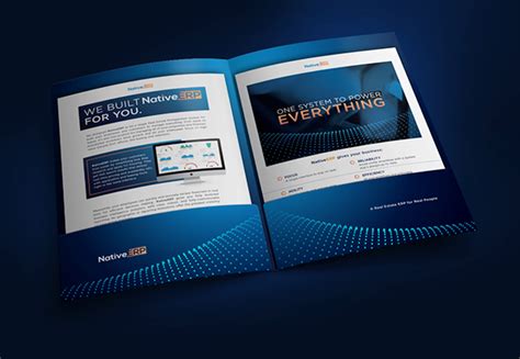 Native ERP Executive Summary Design On Behance
