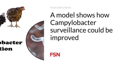 A Model Shows How Campylobacter Surveillance Could Be Improved Food Safety News