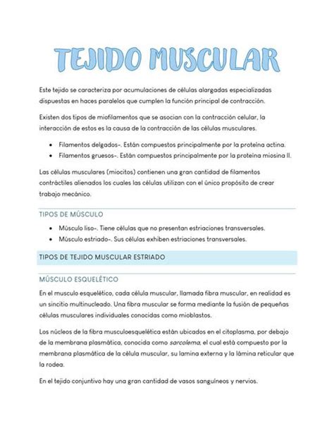Tejido Muscular Camila Udocz