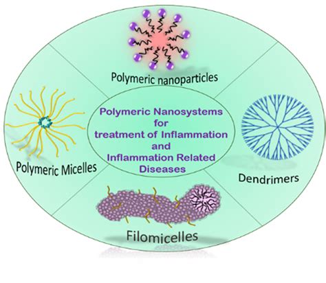 Polymeric Nanosystems A Breakthrough Approach To Treating Inflammation