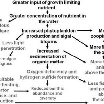 Schematic Representation Of The Cascading Effects Of Increasing