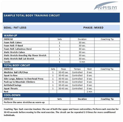 Nasm Workout Template