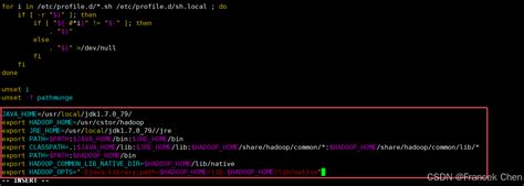 【大数据技术基础 实验四】hdfs实验：读写hdfs文件 Csdn博客