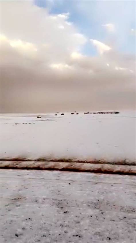 نجران تكتسي البياض جريدة الوطن السعودية