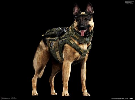 Riley From Call Of Duty Ghosts 2013 Computer Graphics Daily News