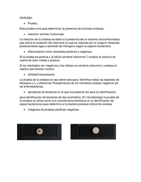 Microbiologia Pruebas Bioquimicas OXIDASA Prueba Esta Prueba Sirve Para Determinar La Studocu