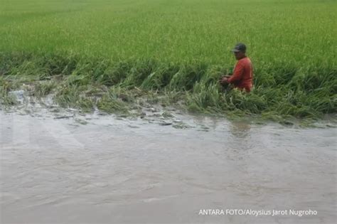 Peringatan Dini Cuaca Besok 28 3 Hujan Lebat Siaga Waspada Bencana