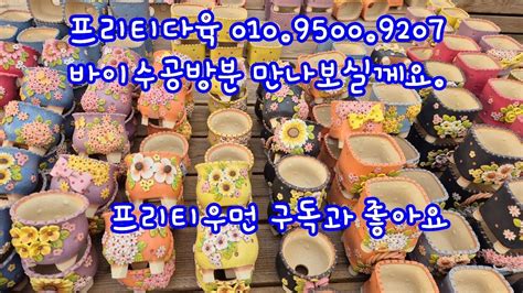 24 8 5 프리티우먼입니다 바이수공방분 신상화분 만나보실께요 YouTube