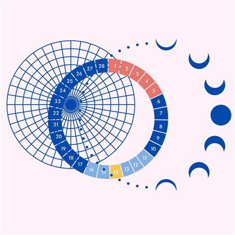 Cycle Mapping A Tool To Support Your Hormonal Health Through Charting With Denise Rodriguez