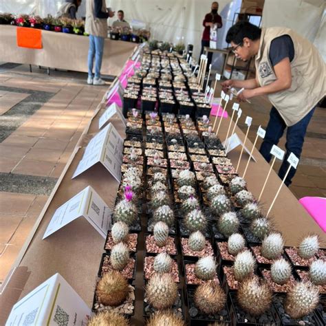 Chilango ¿cuándo Es El Día De Los Jardines Botánicos