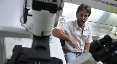 Científicos Argentinos Avanzan En Una Vacuna Oral Contra El Coronavirus