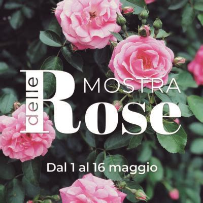 Mostra Delle Rose 2021 Dal 1 Al 16 Maggio Floricoltura Quaiato