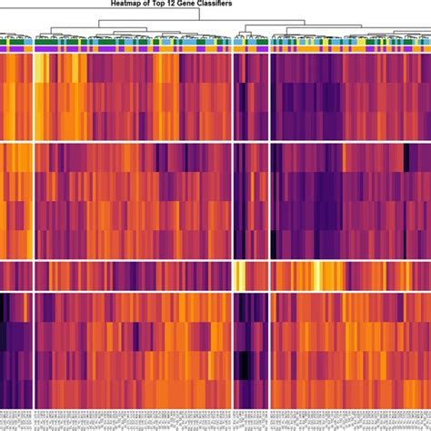 heatmap and unsupervised hierarchical clustering of the gene expression