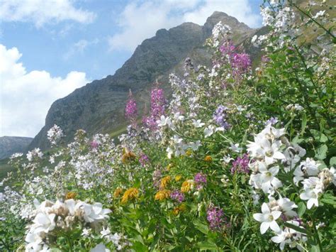 რაჭა Racha Georgia რაჭა