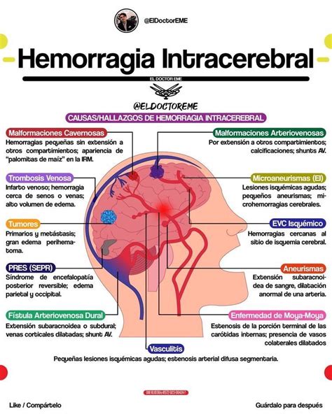 Pin en MEDICINA ESPAÑOL Material de enfermeria Cosas de enfermeria